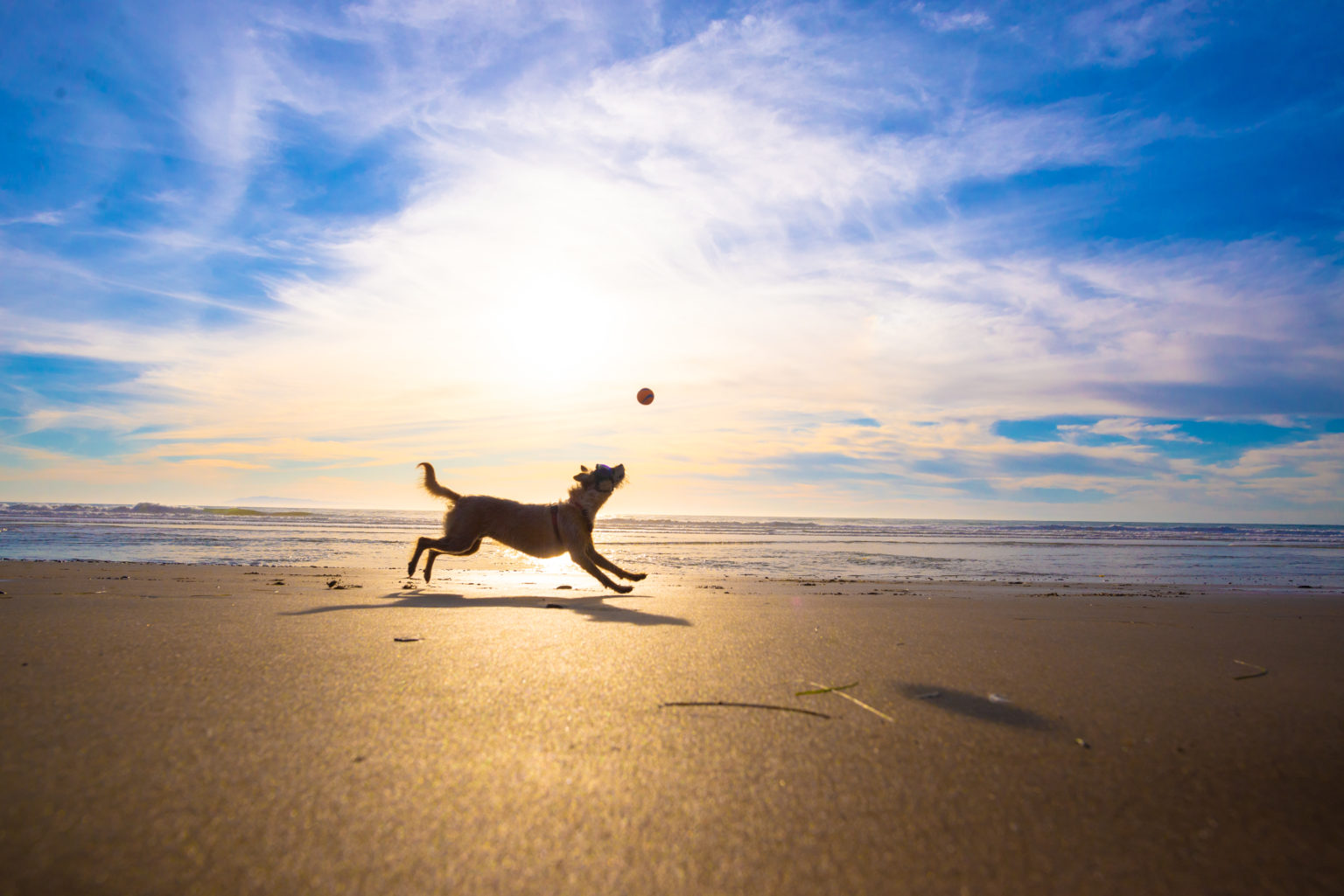 Top 10 beaches close to Camarillo, your home base for sun and fun ...