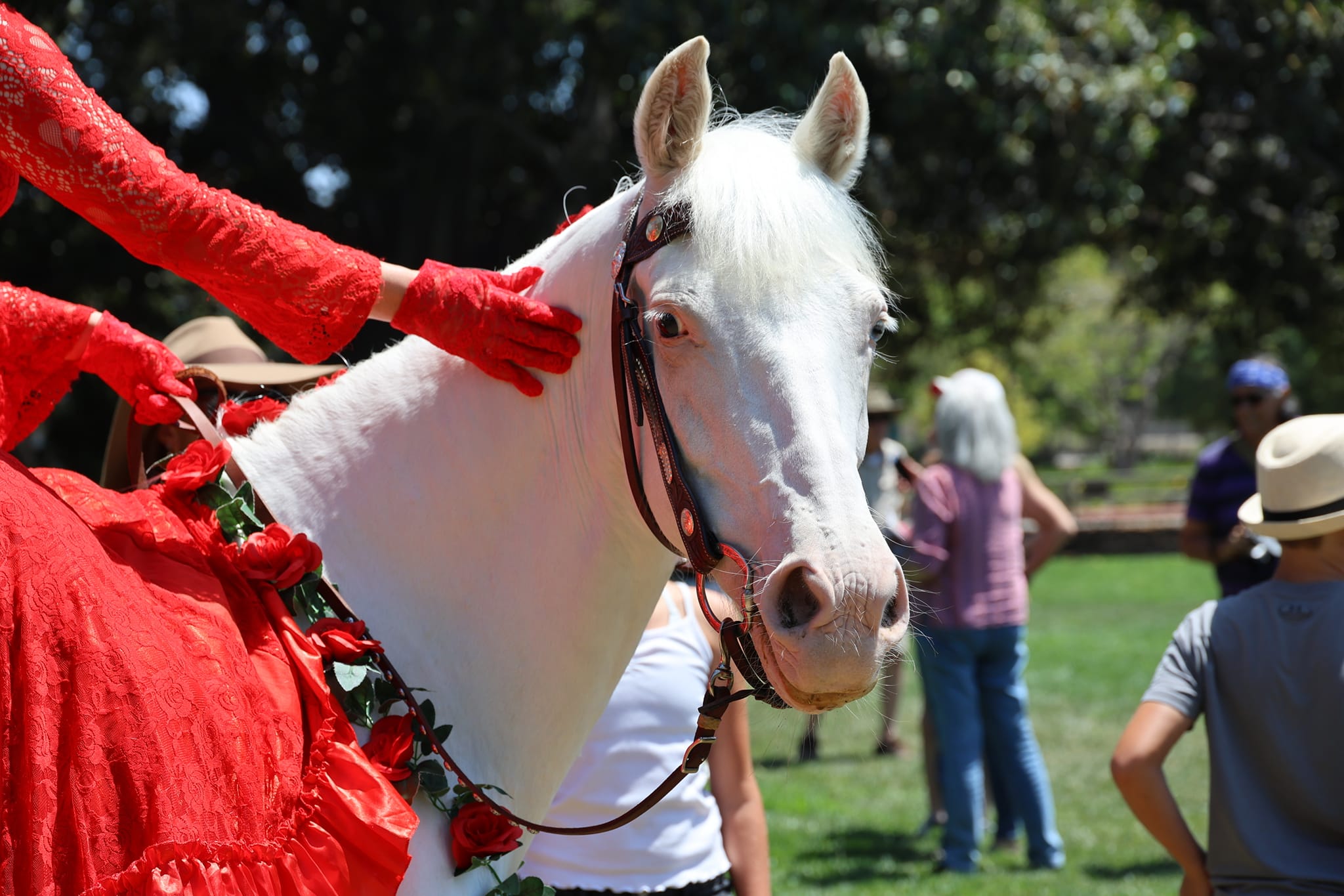 Get to Know the History of the Camarillo White Horse - Visit Camarillo
