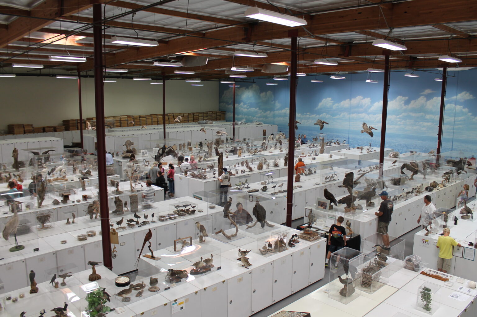 WFVZ Bird Museum and Research Center Museum Tours - Visit Camarillo